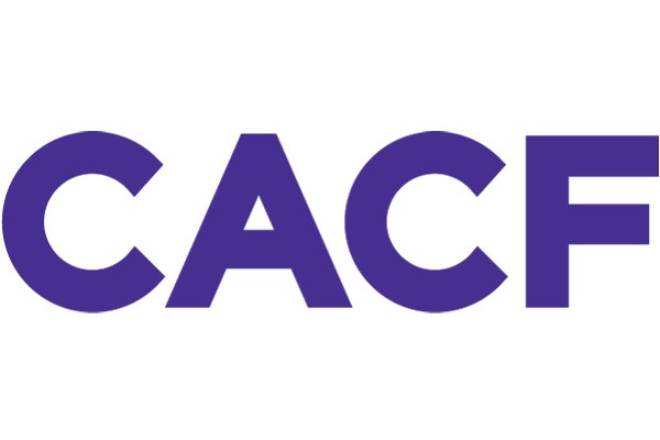 Data Disaggregation Action Network Partners The Leadership Conference ...