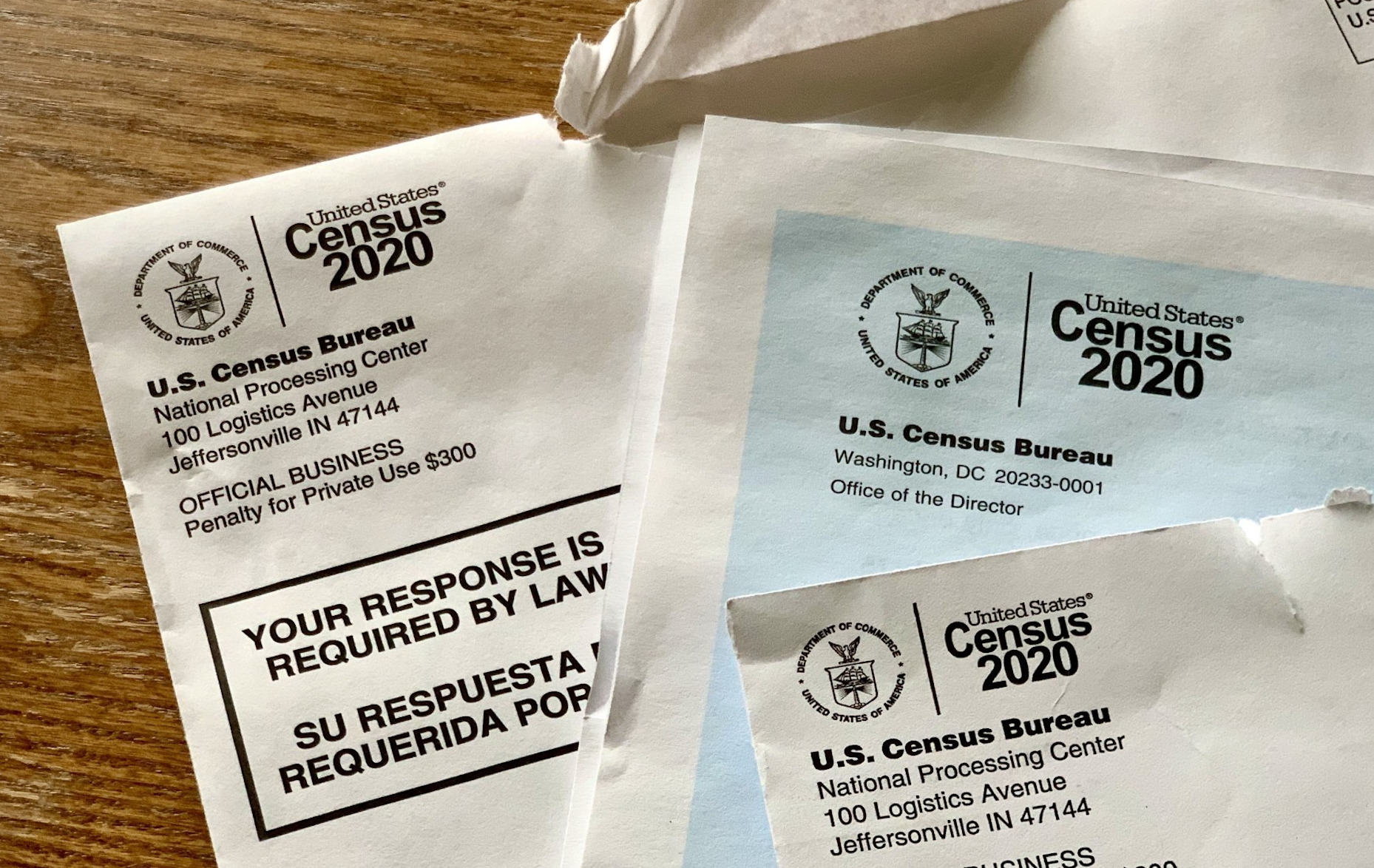 Why the Census Matters for Disability Data Inclusion